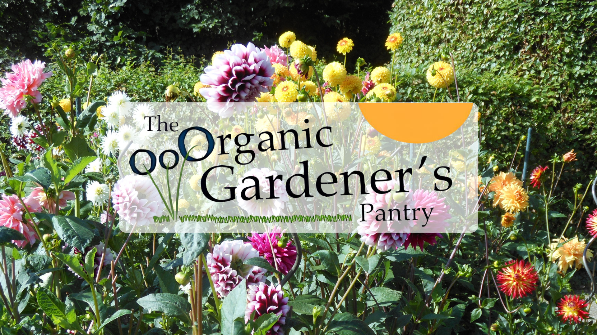 The Organic Gardener's Pantry – The Organic Gardener's Pantry